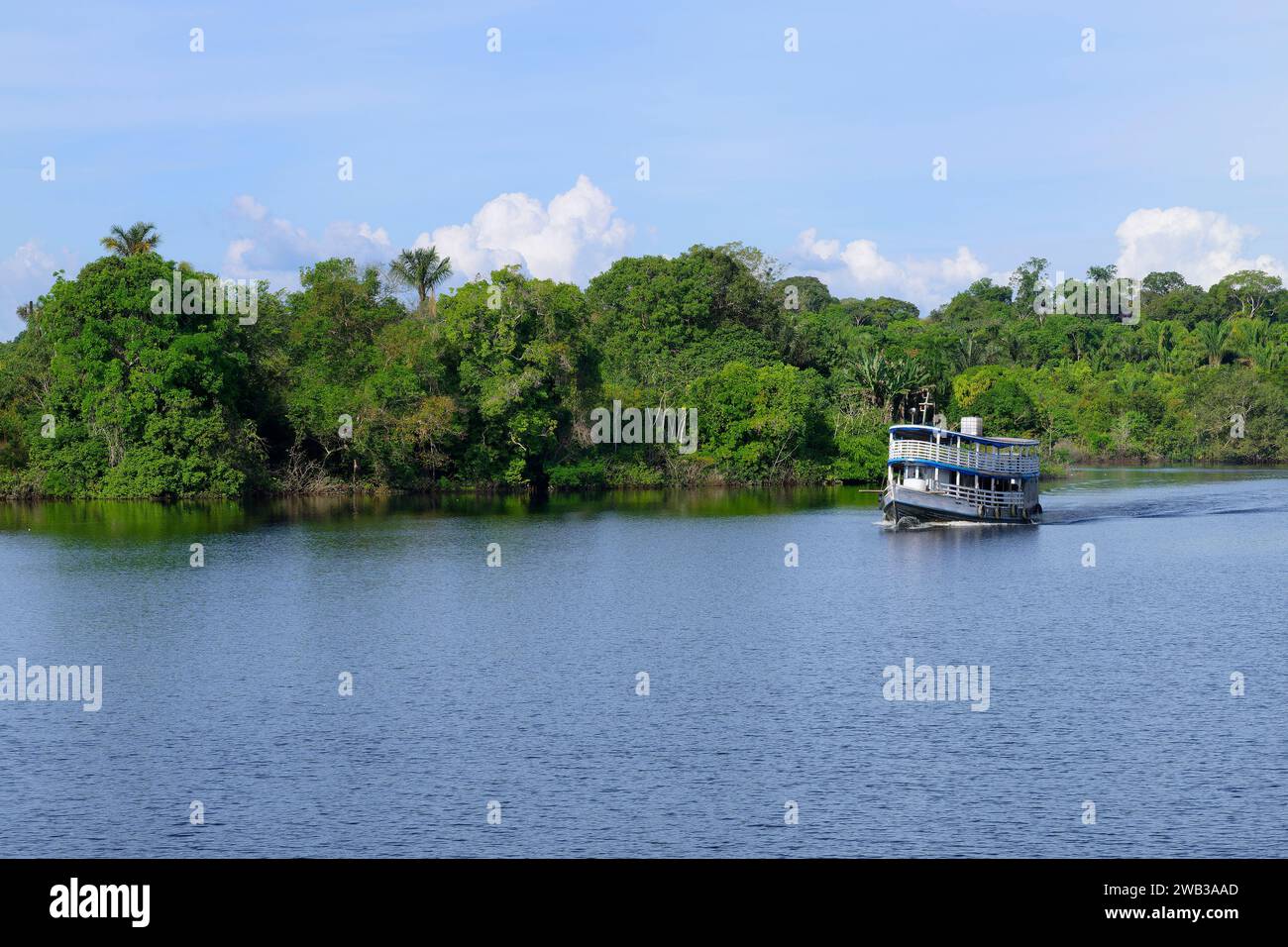 Traditional wooden boat navigating on the Madeira River, Amazonas State ...