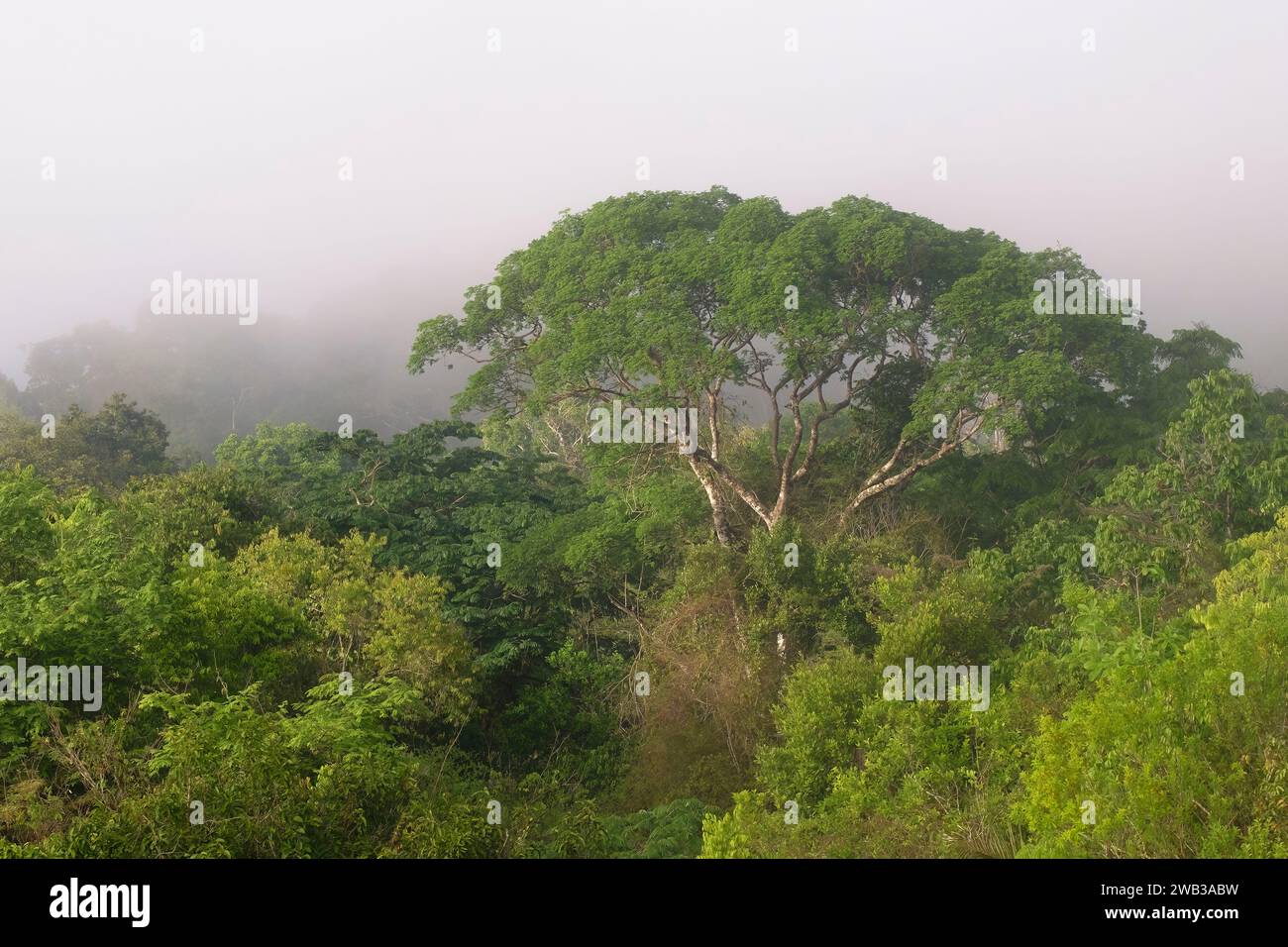 Rio amana hi-res stock photography and images - Alamy