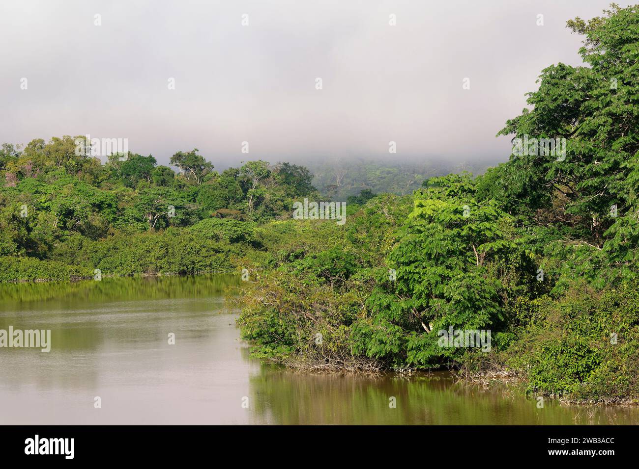 Brazil amazonas state amazon river hi-res stock photography and images ...