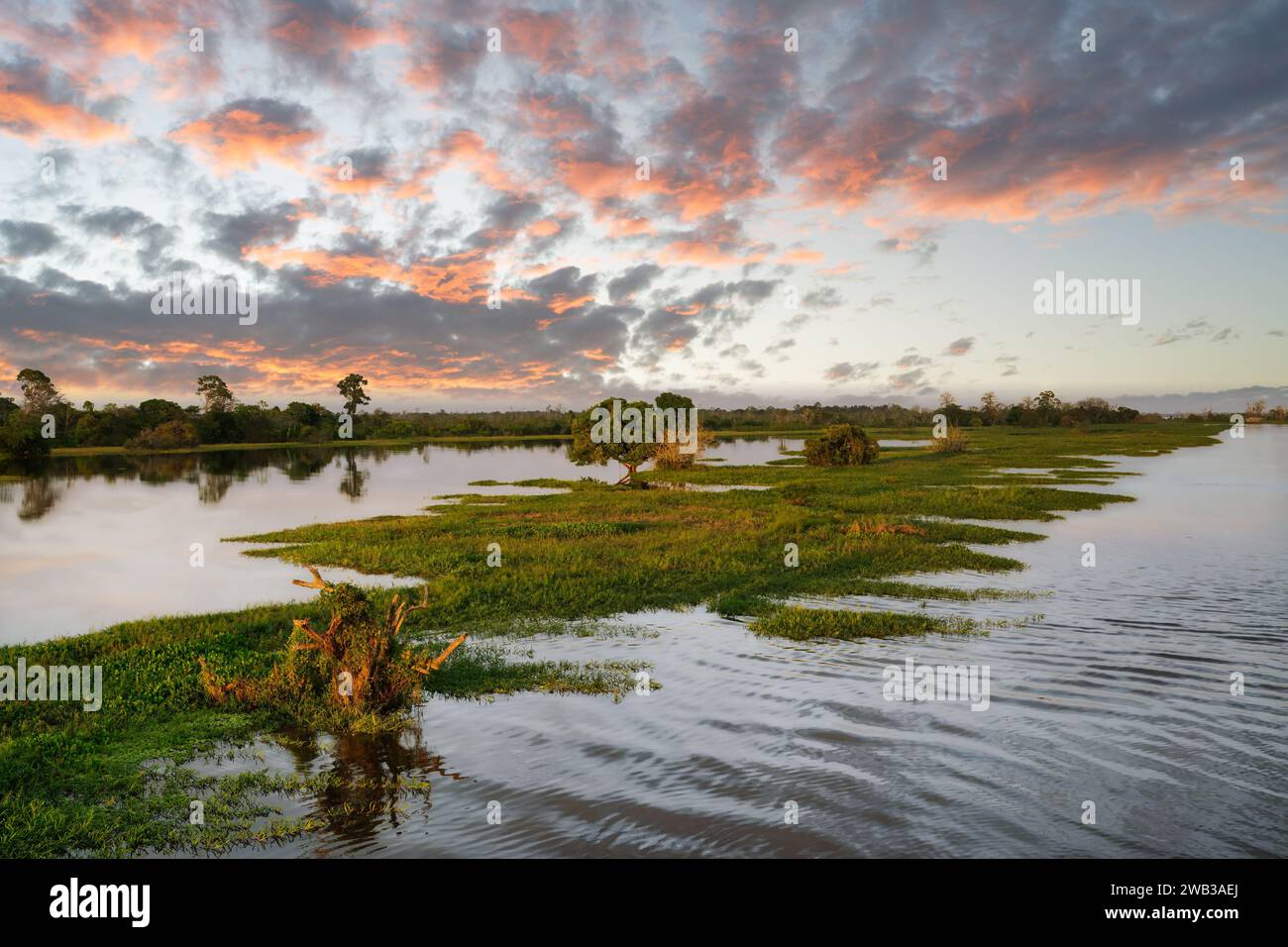 Amazon river rainforest sunrise hi-res stock photography and images - Alamy