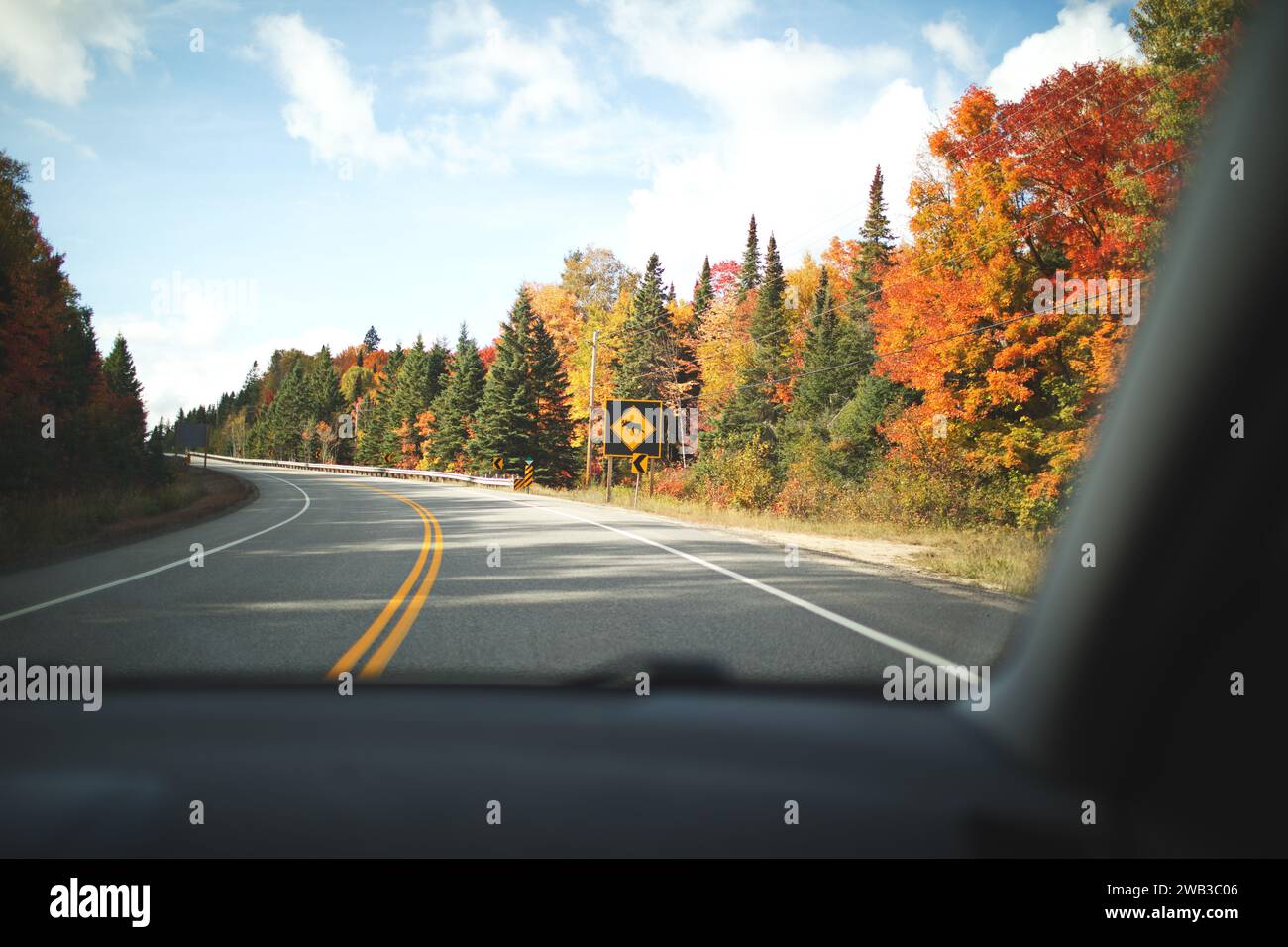 A scenic view of a road sign warning of moose at Algonquin Provincial ...