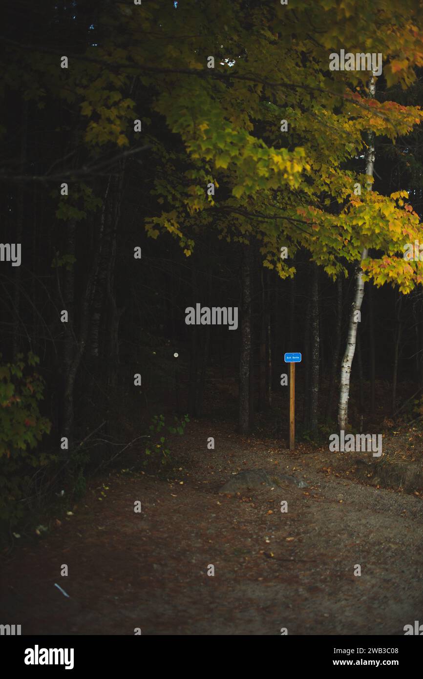 A vertical of a dark pathway in Algonquin Provincial Park in Ontario ...