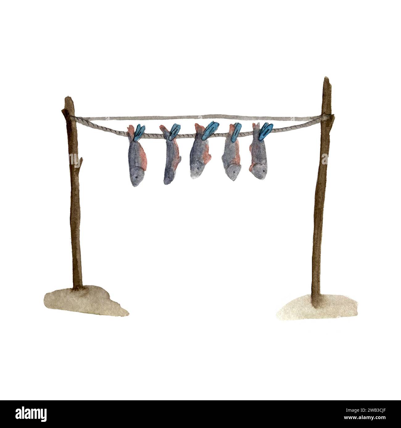 Watercolor fishing drying fish isolated on white Stock Photo - Alamy