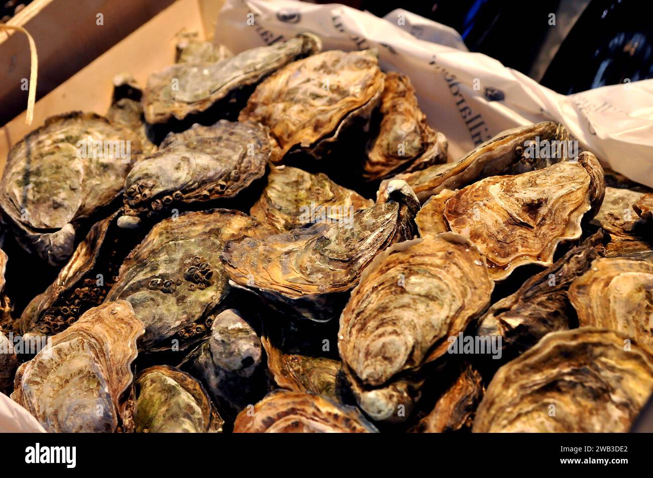 Copenhagen, Denmark /08 January 2024/Travellers and local enjoy osters ...