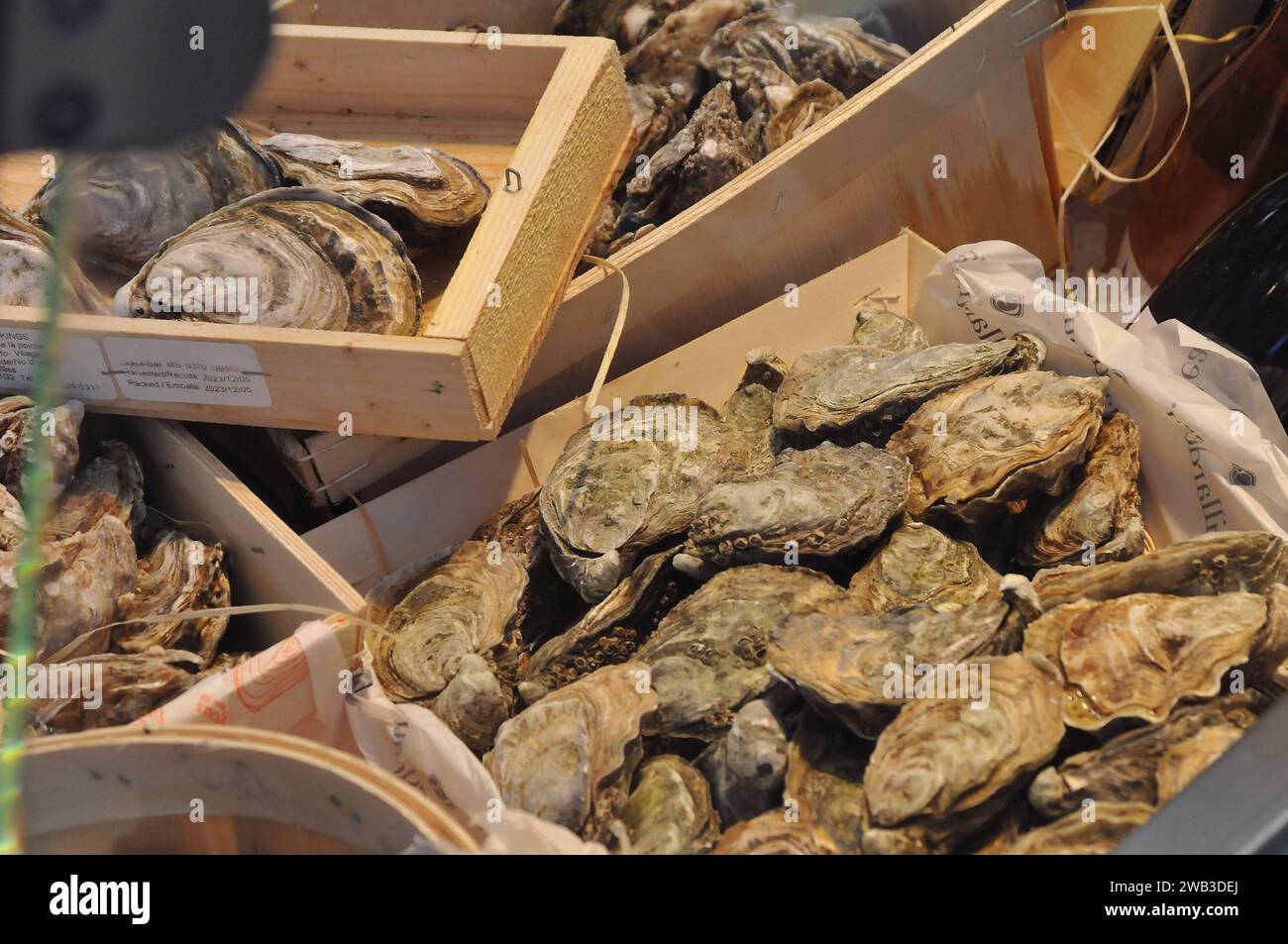 Copenhagen, Denmark /08 January 2024/Travellers and local enjoy osters ...
