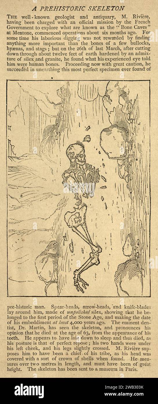 Skeleton illustration vintage hi-res stock photography and images - Alamy