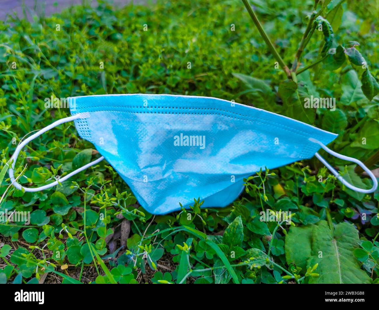 Surgical Blue Masks In Nature. Corona Virus Pollution. Covid19. Corona ...