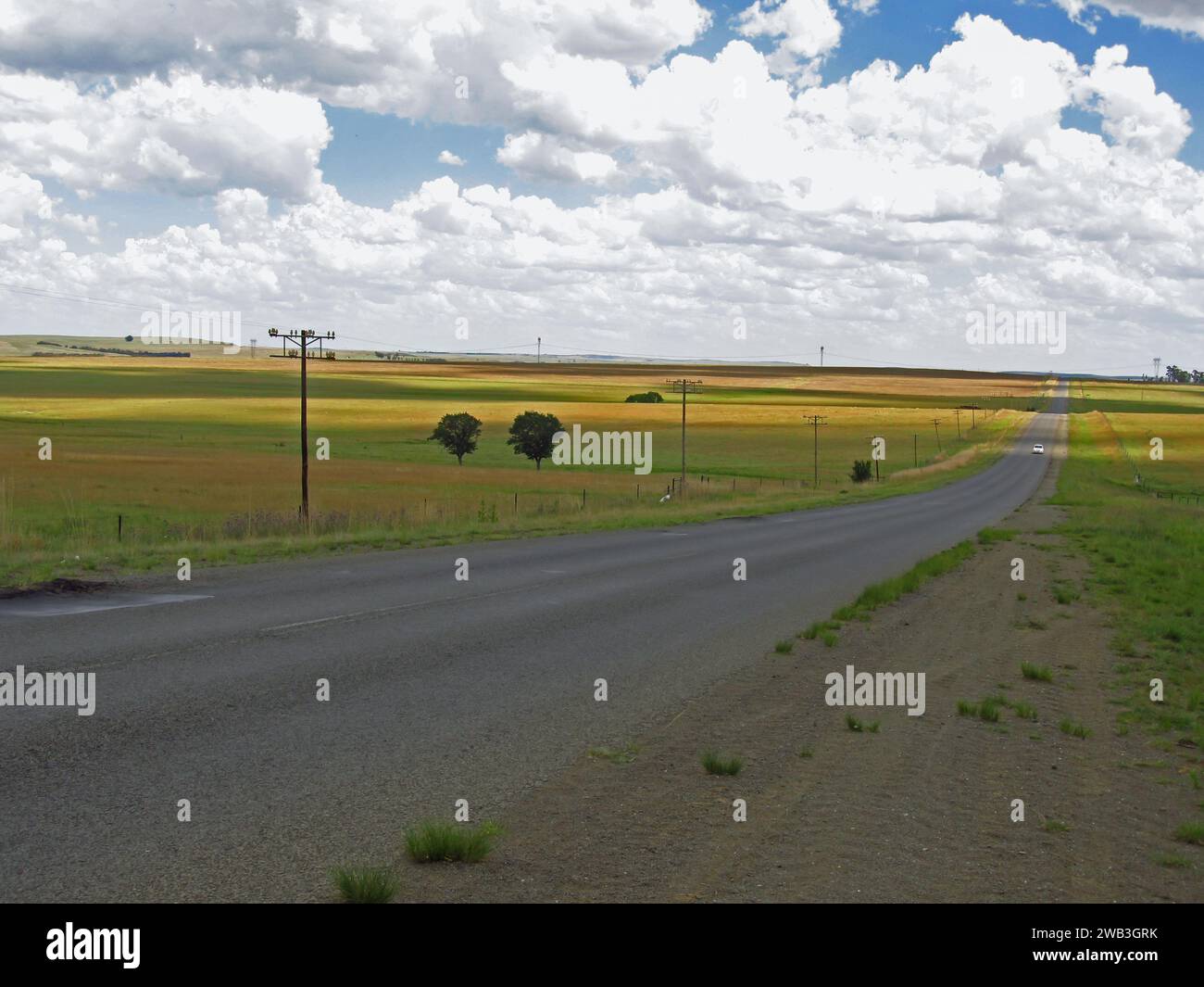 A deserted highway cutting through the fields of Rural Free State ...
