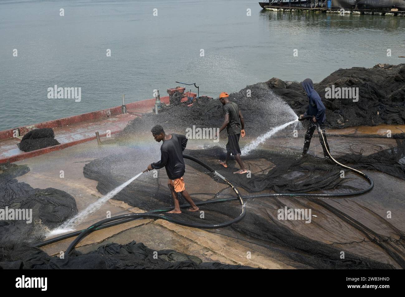 GHANA, Asutsuare, Volta river, Tilapia fish breeding farm of chinese ...
