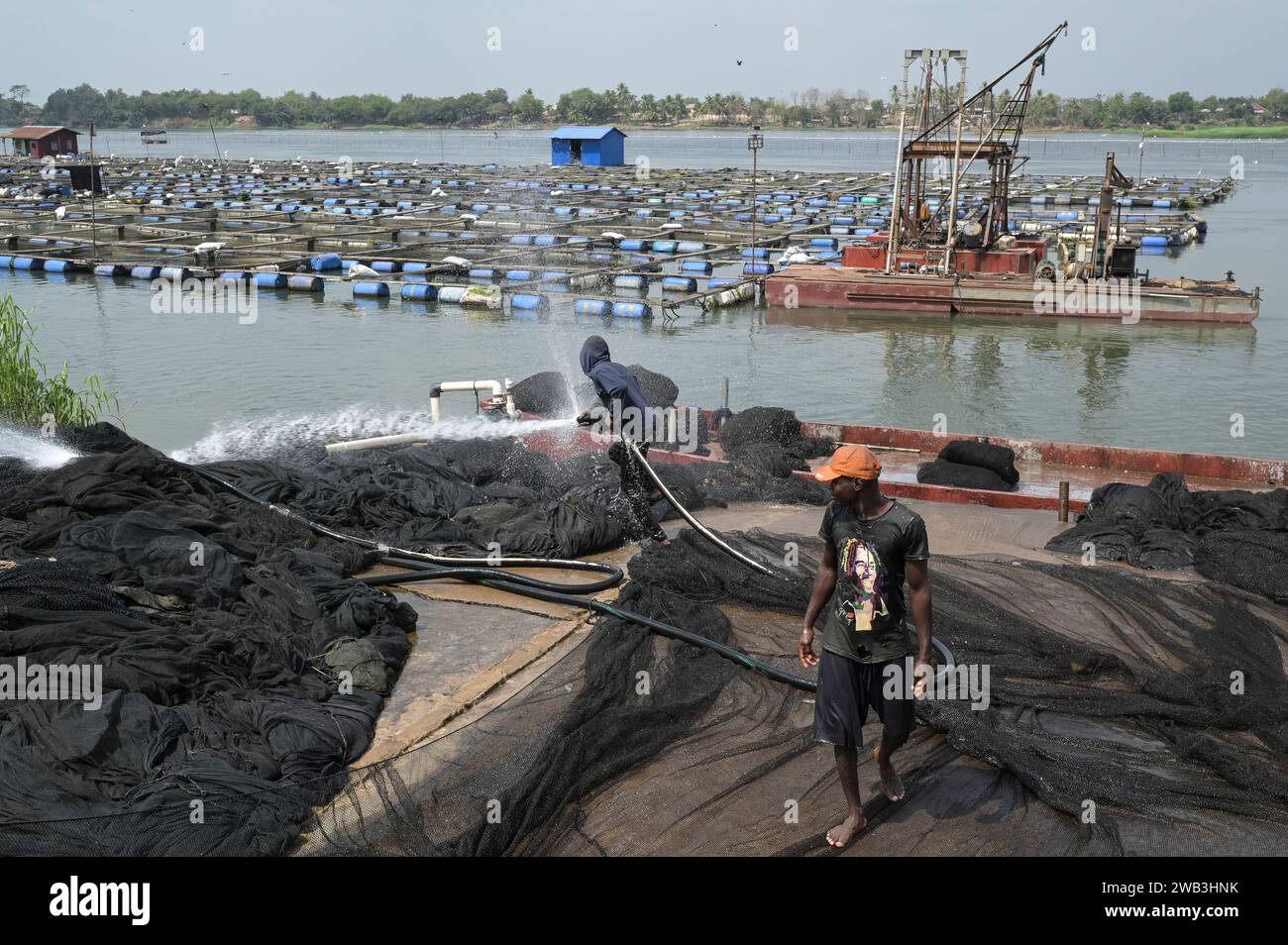 GHANA, Asutsuare, Volta river, Tilapia fish breeding farm of chinese ...