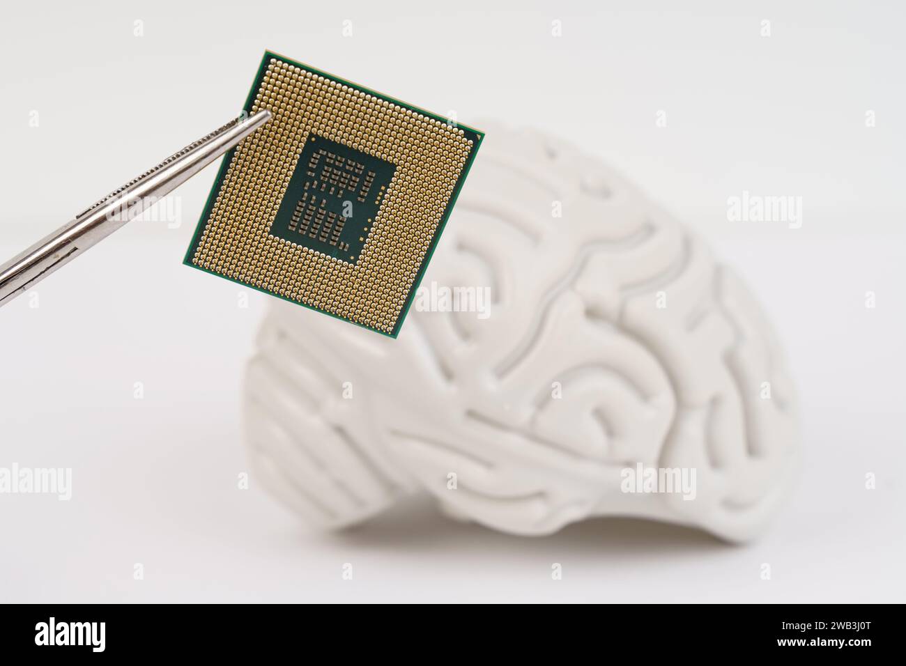 Human brain and computer chip. Microprocessor in the head, on a white ...