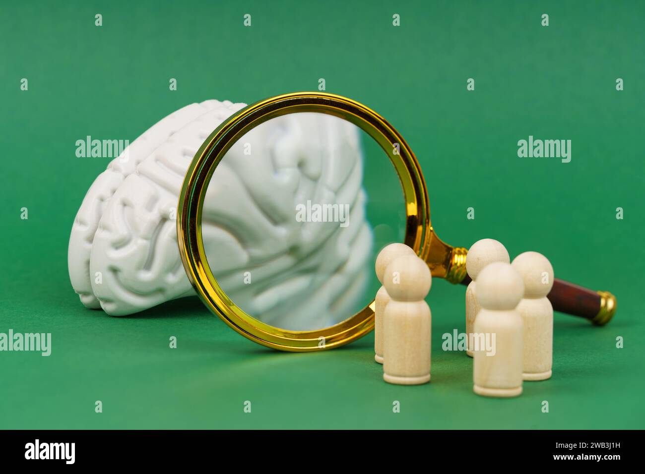 On a white background, a model of the brain, a magnifying glass and ...