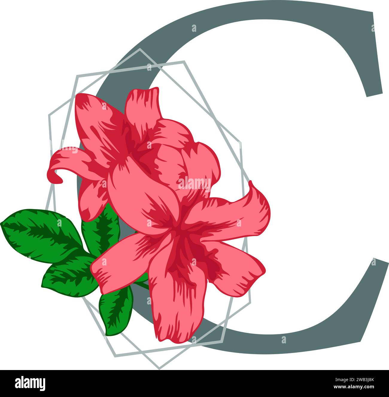 Beautiful isolated monogram with capital letter C designed on ...