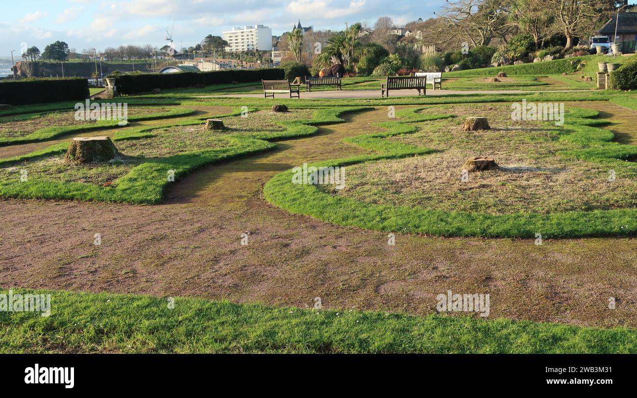 The stumps of the iconic palm trees in Abbey Park Gardens (Italian ...