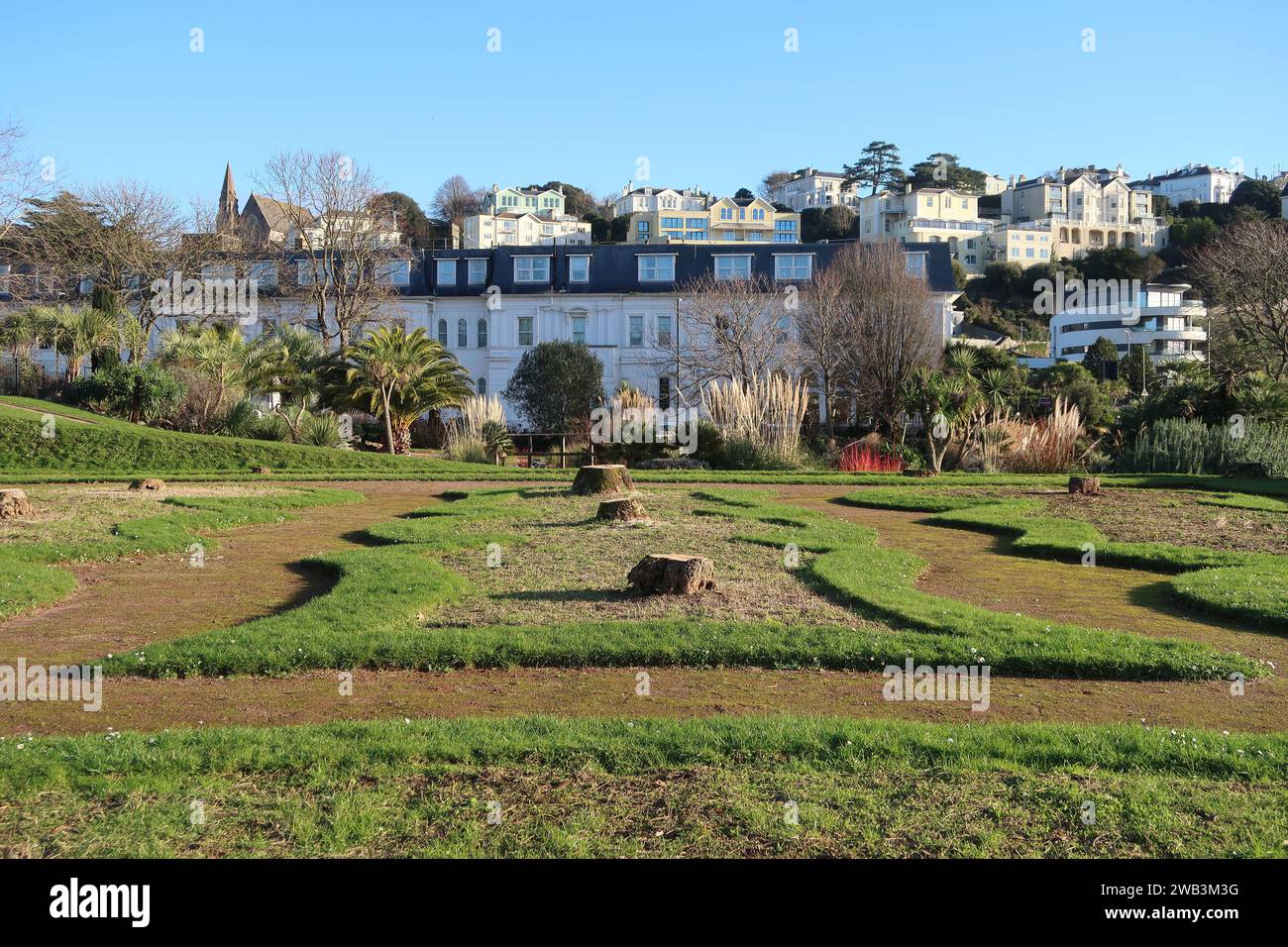 The stumps of the iconic palm trees in Abbey Park Gardens (Italian ...