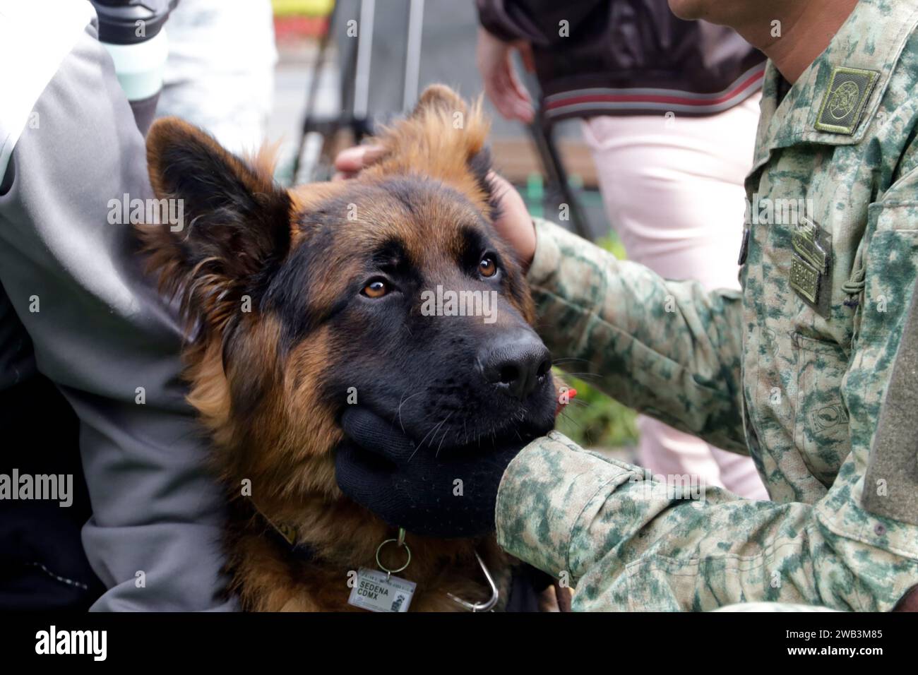Non Exclusive: January 7, 2024, Mexico City, Mexico: Mexican Army ...