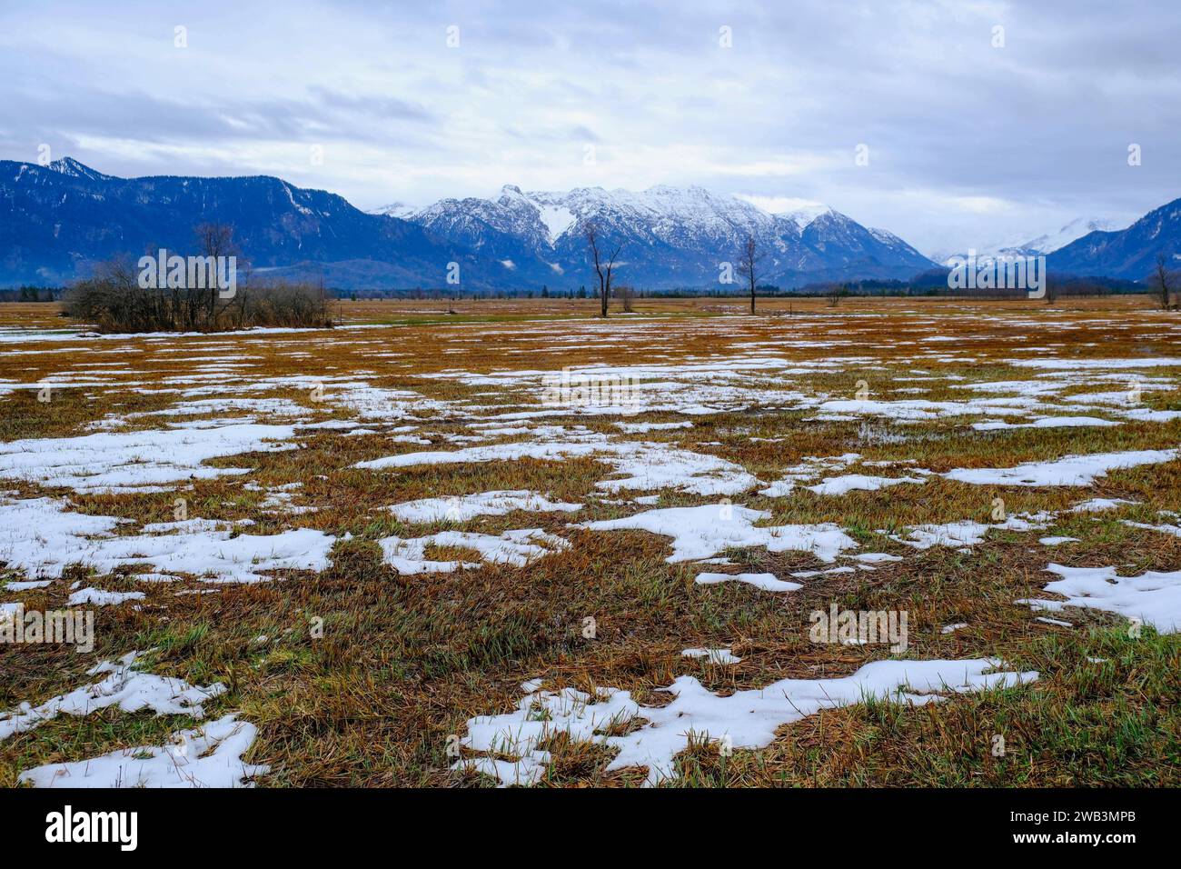 Moos ebene hi-res stock photography and images - Alamy