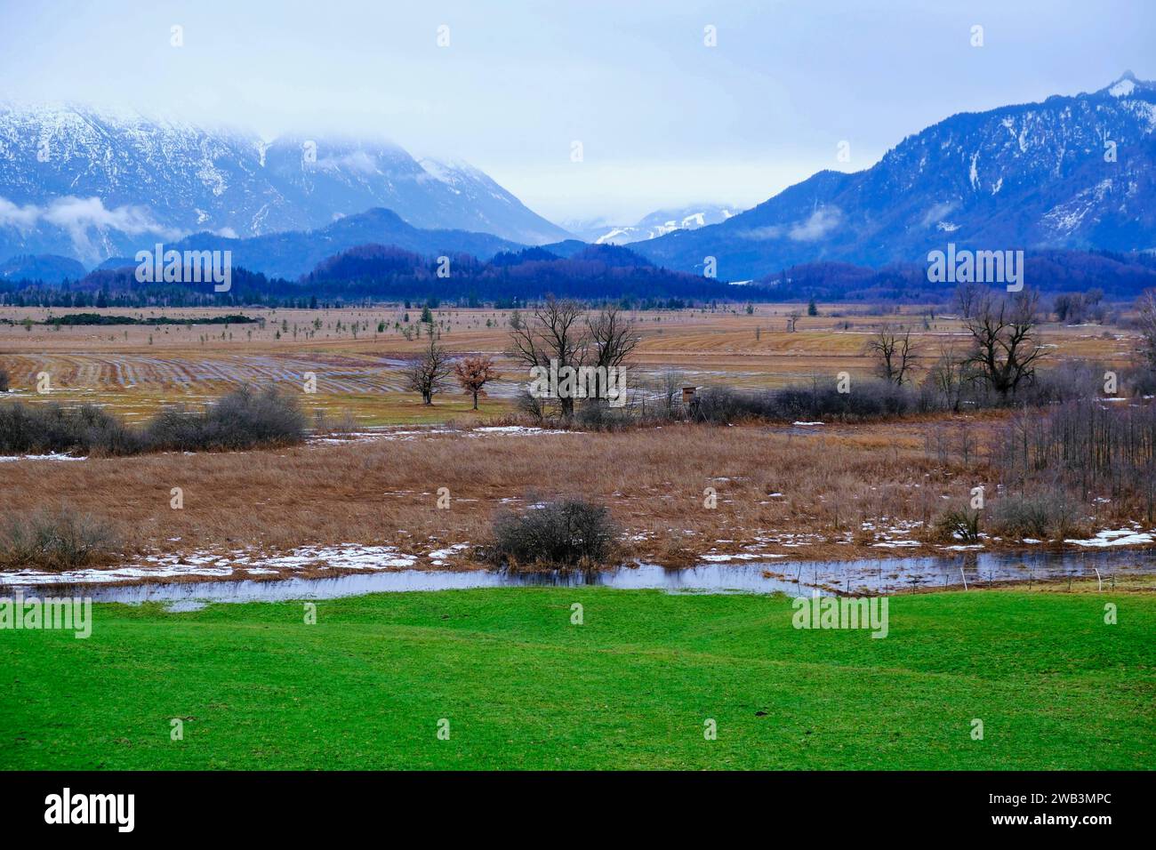 Moos ebene hi-res stock photography and images - Alamy