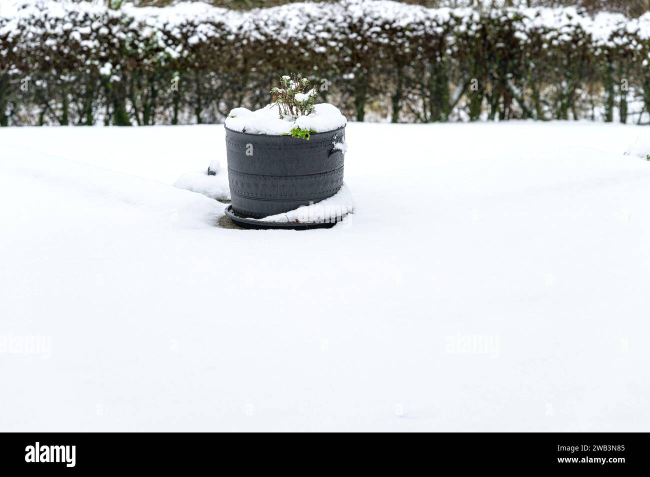 December garden containers hi-res stock photography and images - Alamy