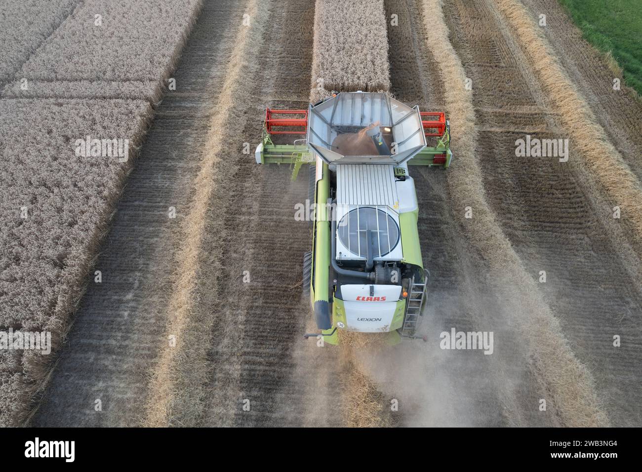 Soarza, Italy - June 23 2023 Claas 780 Lexion Combine Harvester ...