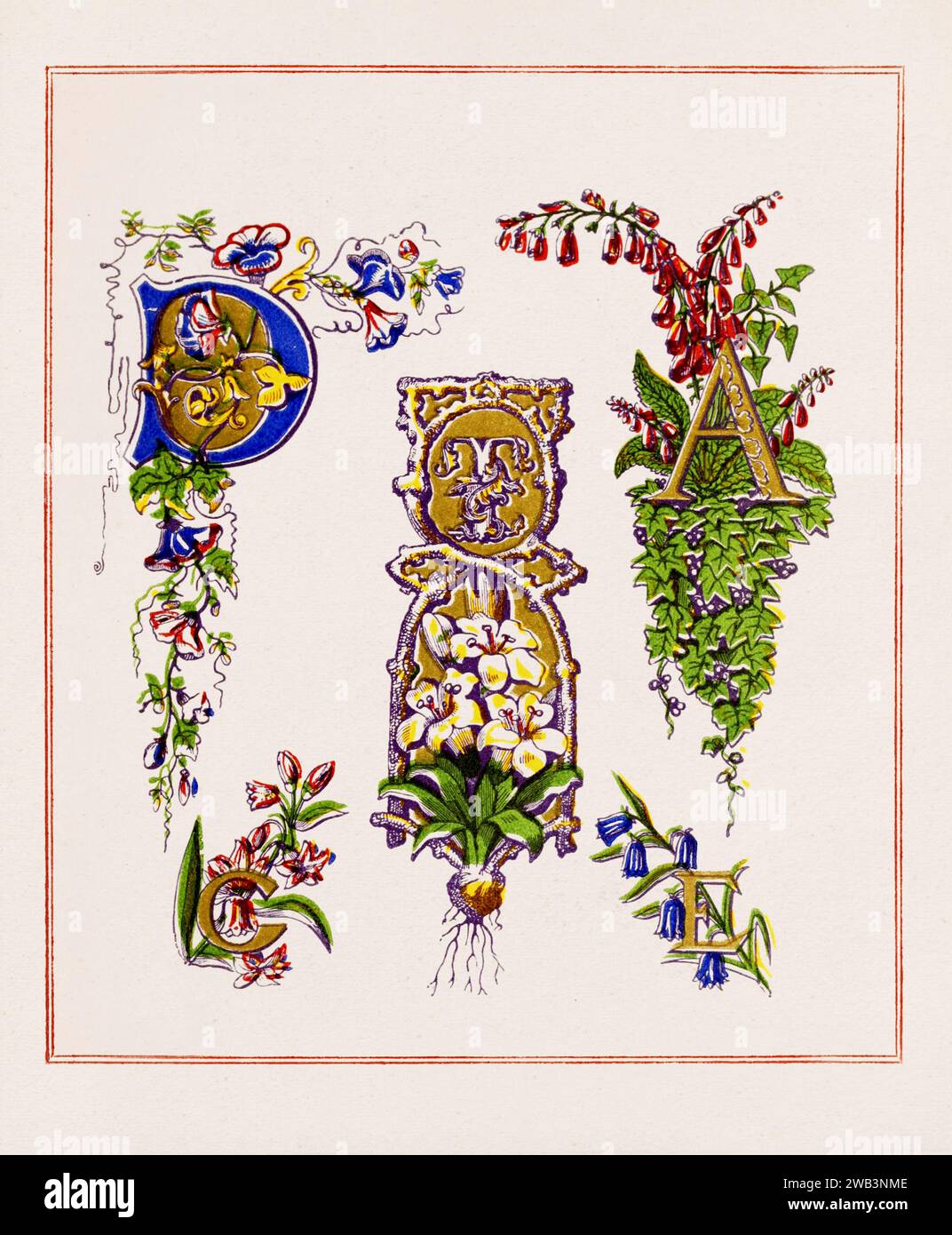 Medieval Alphabet initials. 19th-century book illustration showcasing ...