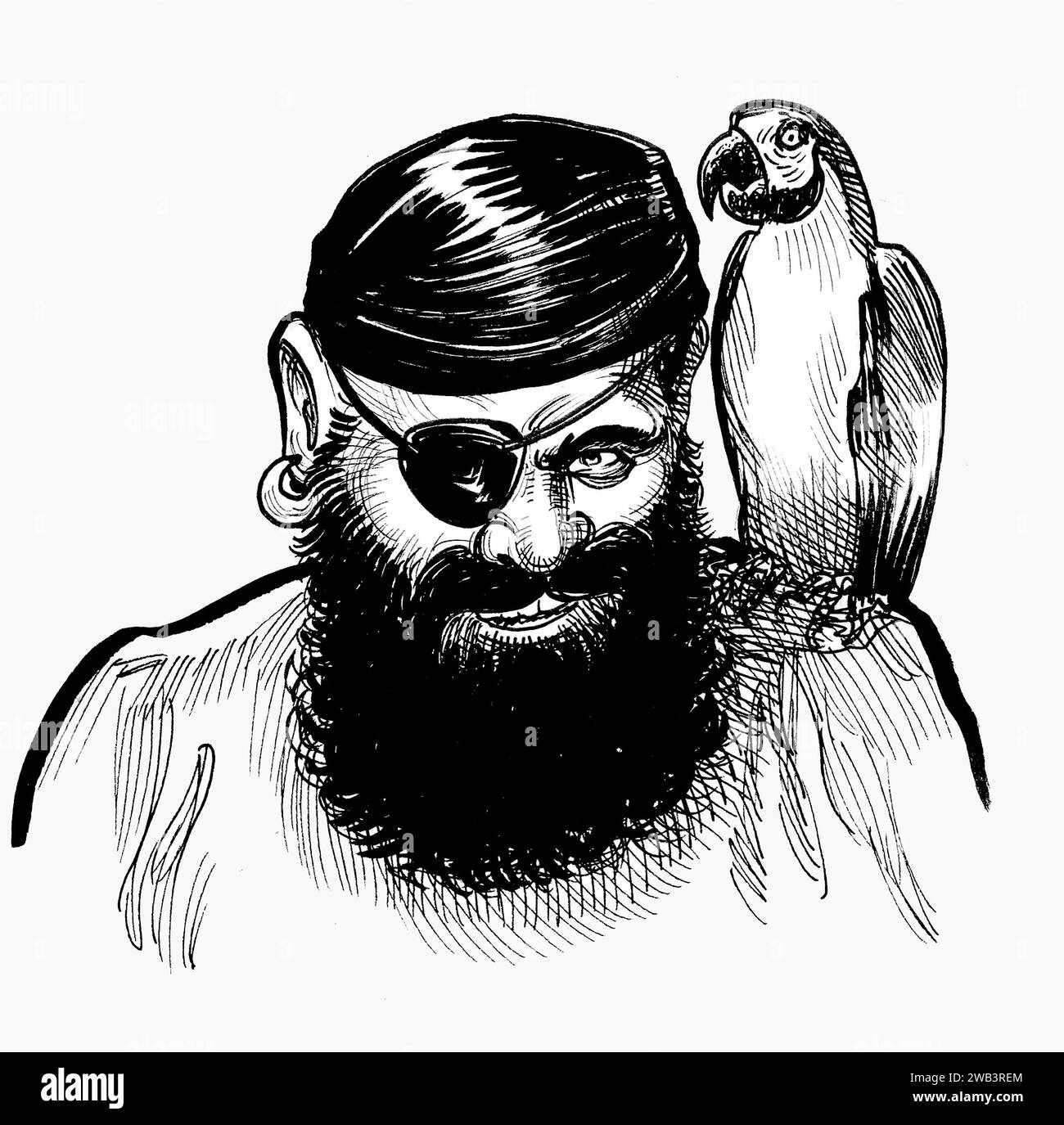 Pirate with a parrot. Hand-drawn ink black and white drawing Stock ...