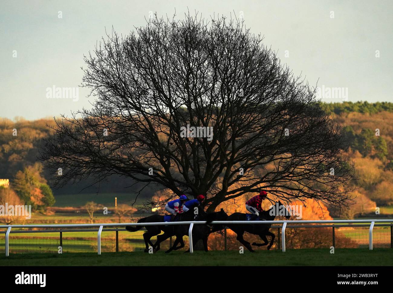 Runners and riders in the Geoffrey Bosley "Tally Ho" Open Hunters ...