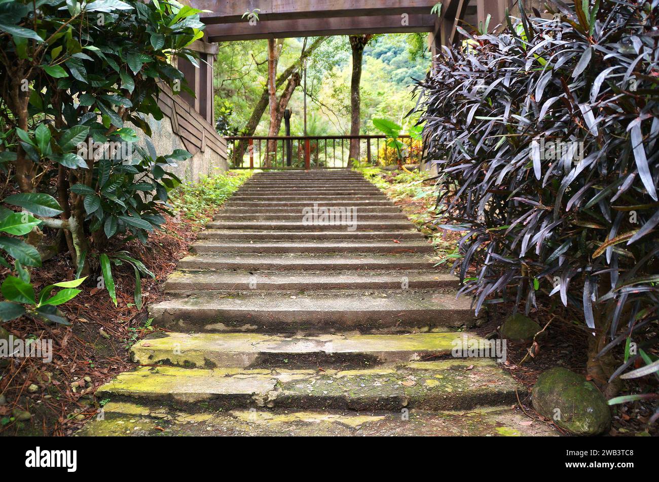 Broken wide concrete steps Stock Photo - Alamy