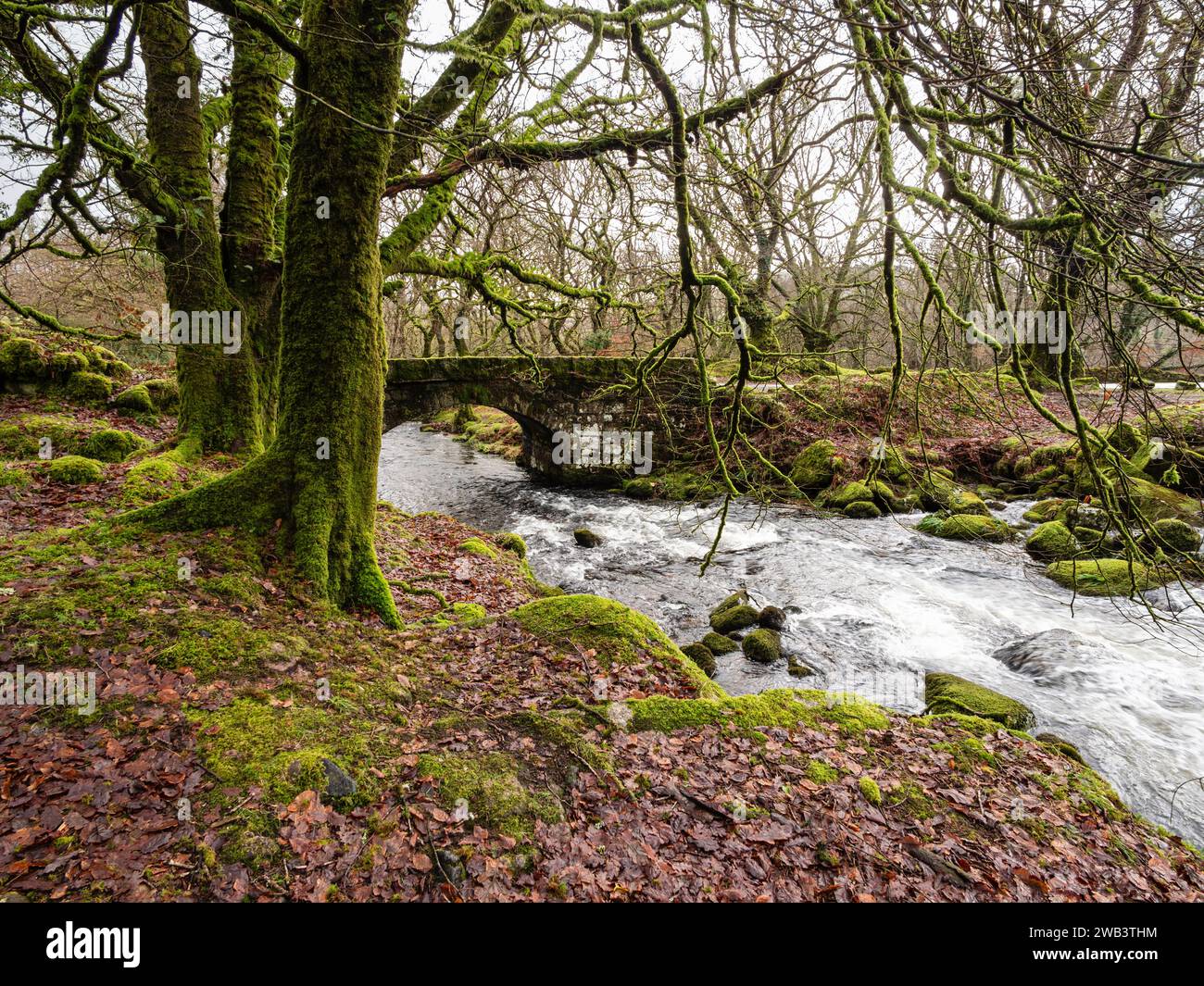 Early 19th Century single span granite Norsworthy Bridge over the ...