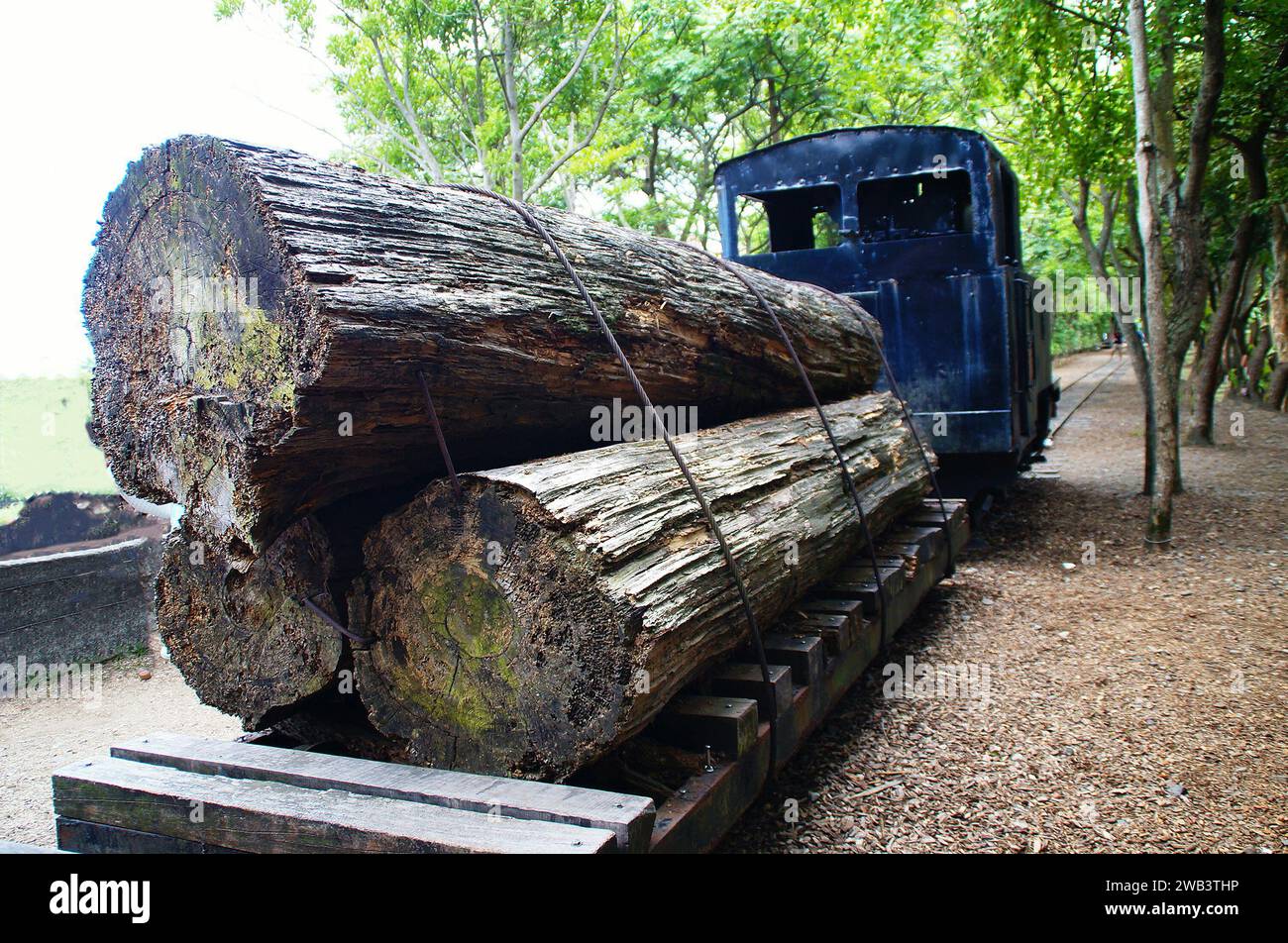 Log train hi-res stock photography and images - Alamy