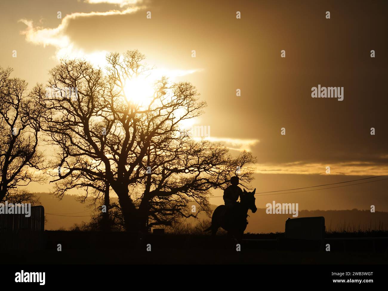 A runner and rider after the Geoffrey Bosley "Tally Ho" Open Hunters ...