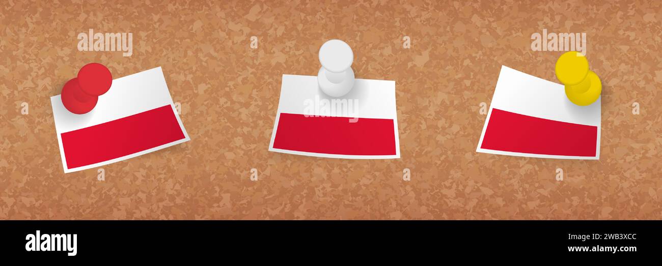 Poland flag pinned in cork board, three versions of Poland flag. Vector ...