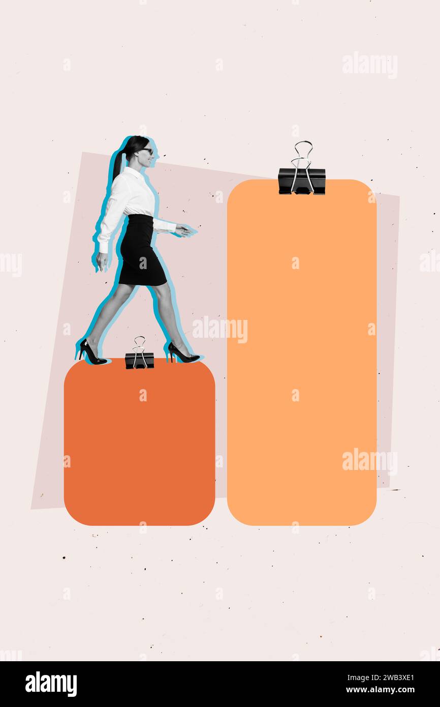 Poster banner collage of ambitious lady business person have plan list ...
