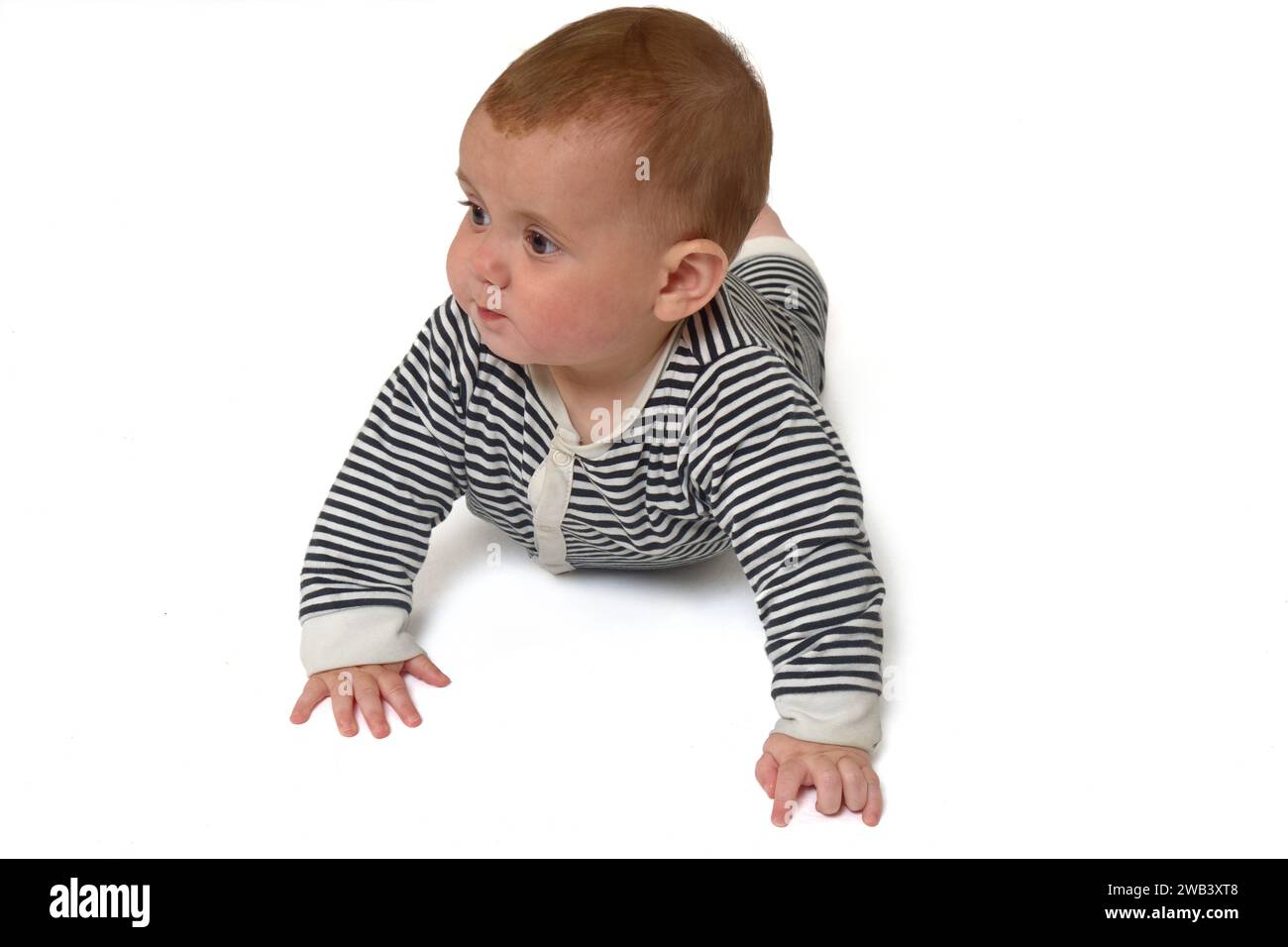 Crawling away Cut Out Stock Images & Pictures - Alamy