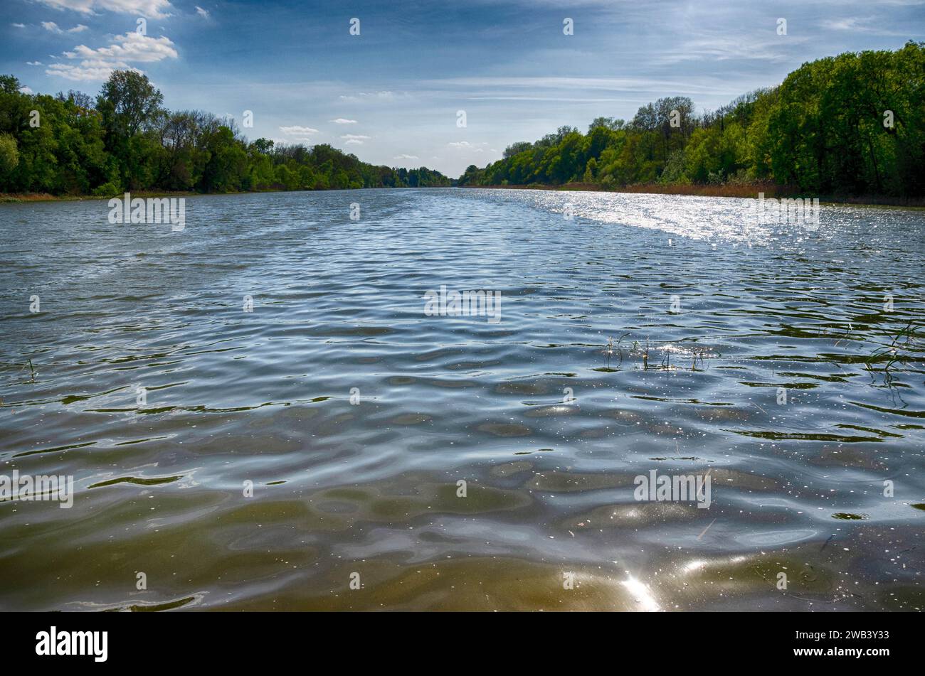 Summer on Hungary's Tisza River: scenic charm with a tree-lined ...