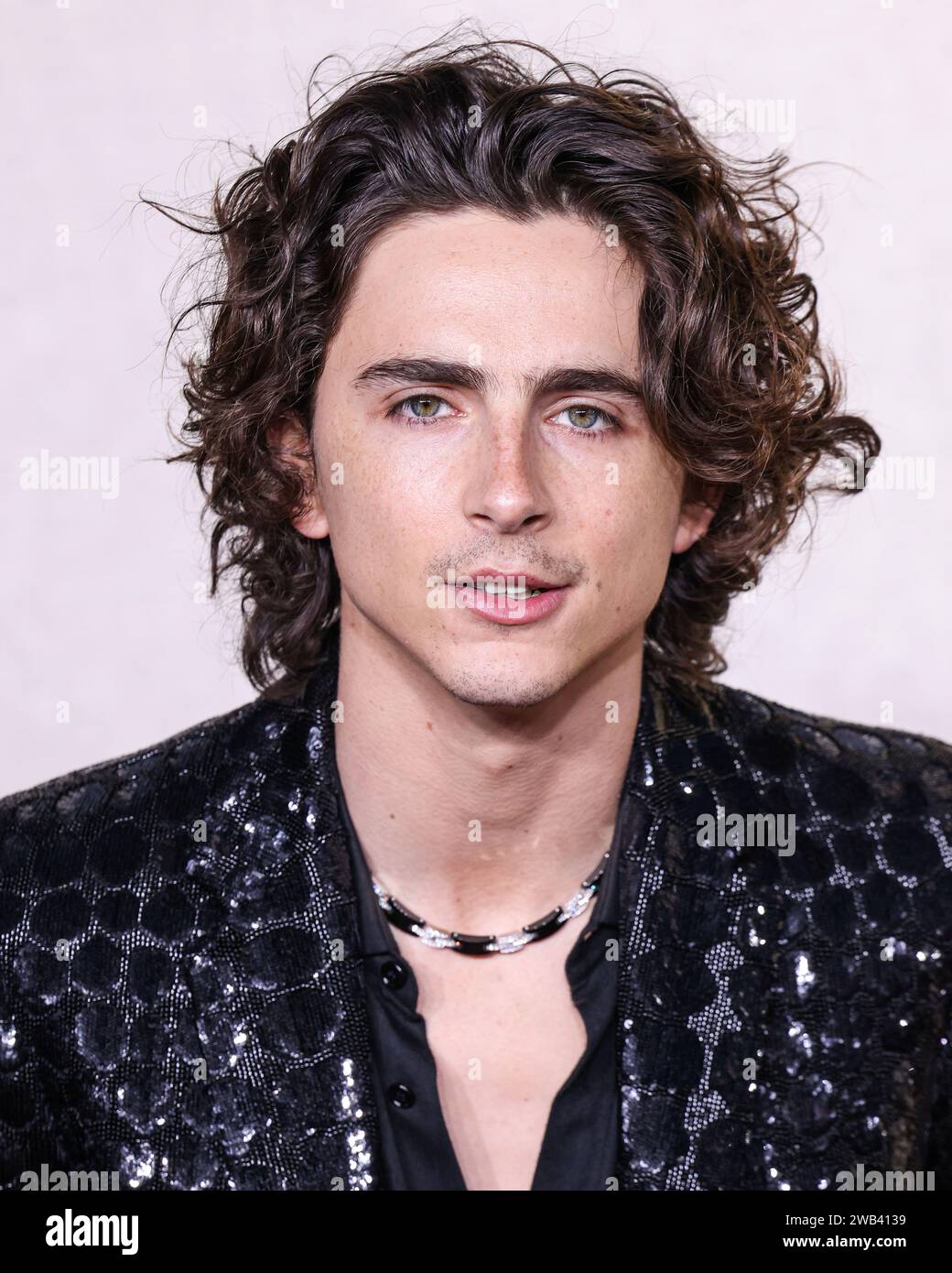 Beverly Hills, United States. 07th Jan, 2024. BEVERLY HILLS, LOS ...