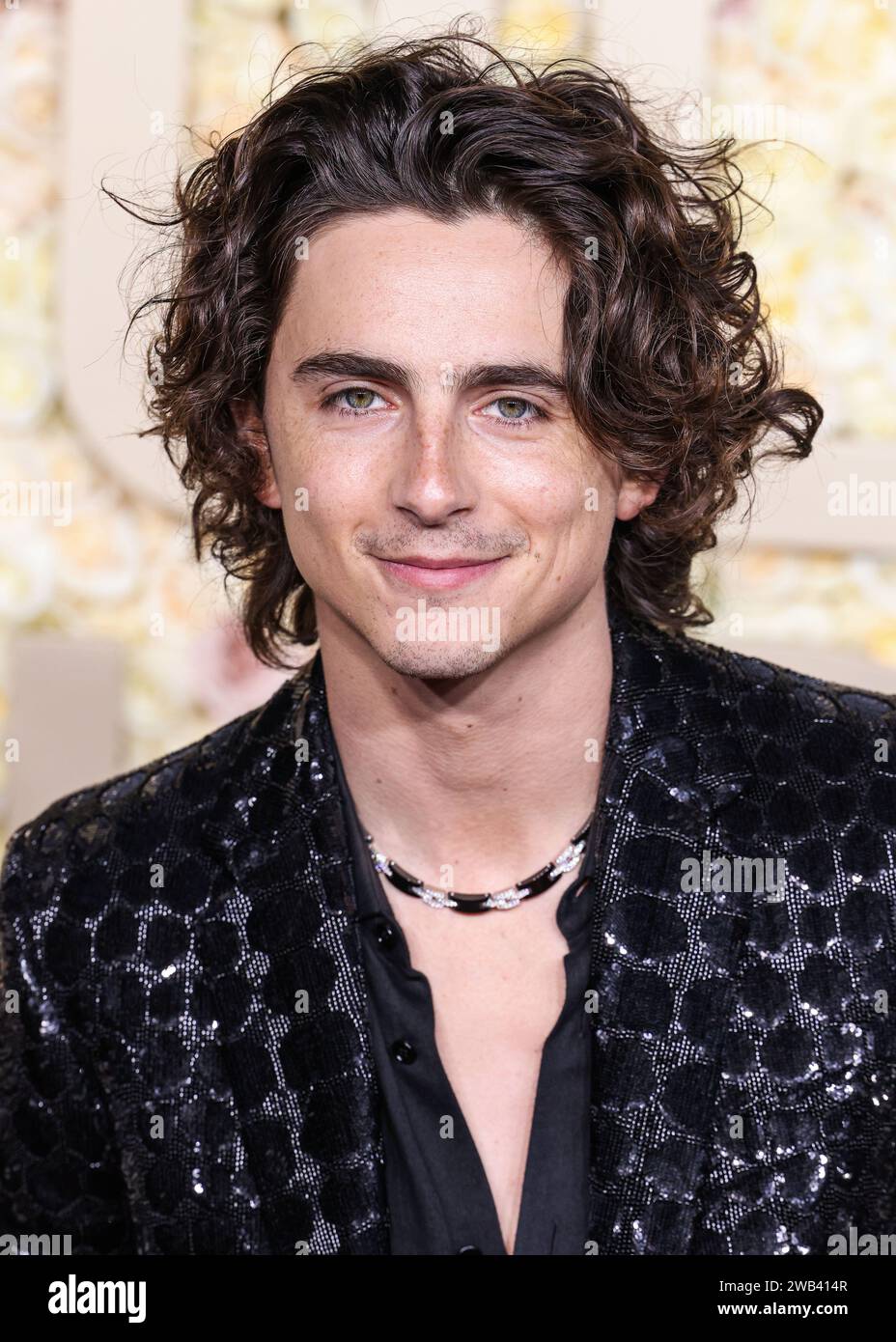 Beverly Hills, United States. 07th Jan, 2024. BEVERLY HILLS, LOS ...