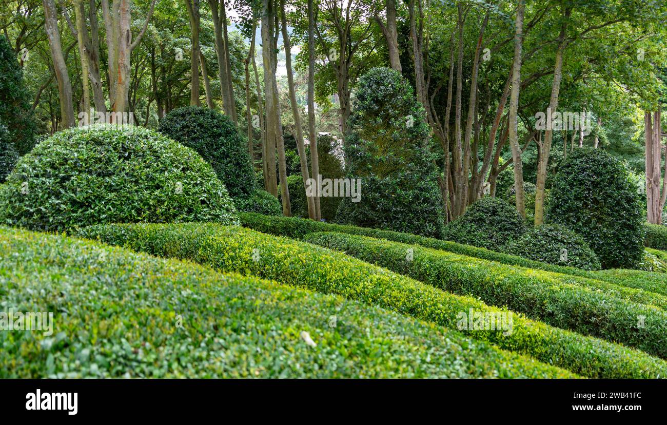 Idyllic garden scenery with green trees, bushes and hedges at summer ...