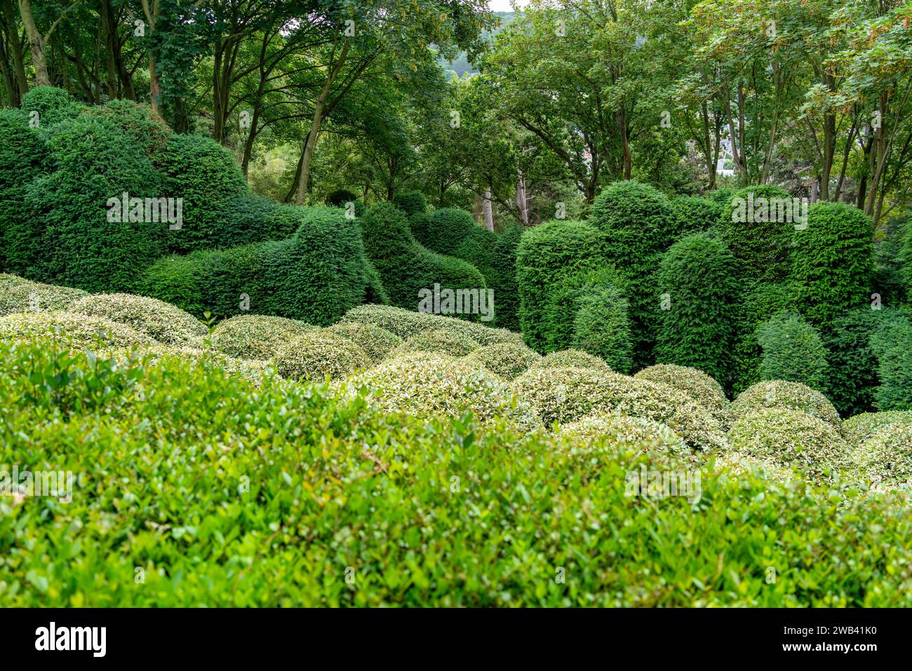 Idyllic garden scenery with green trees, bushes and hedges at summer ...