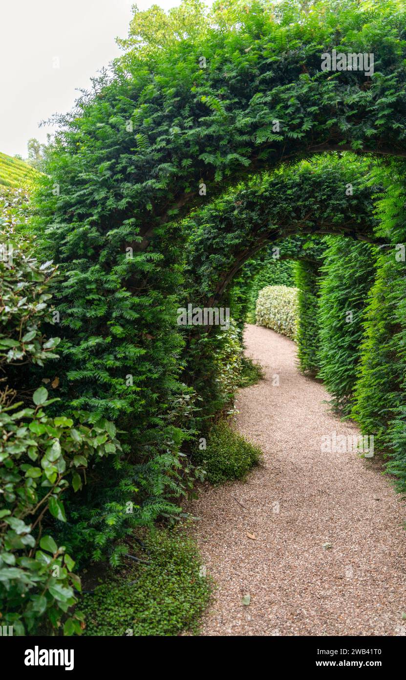 Idyllic garden scenery showing some green plant arches over a footpath ...