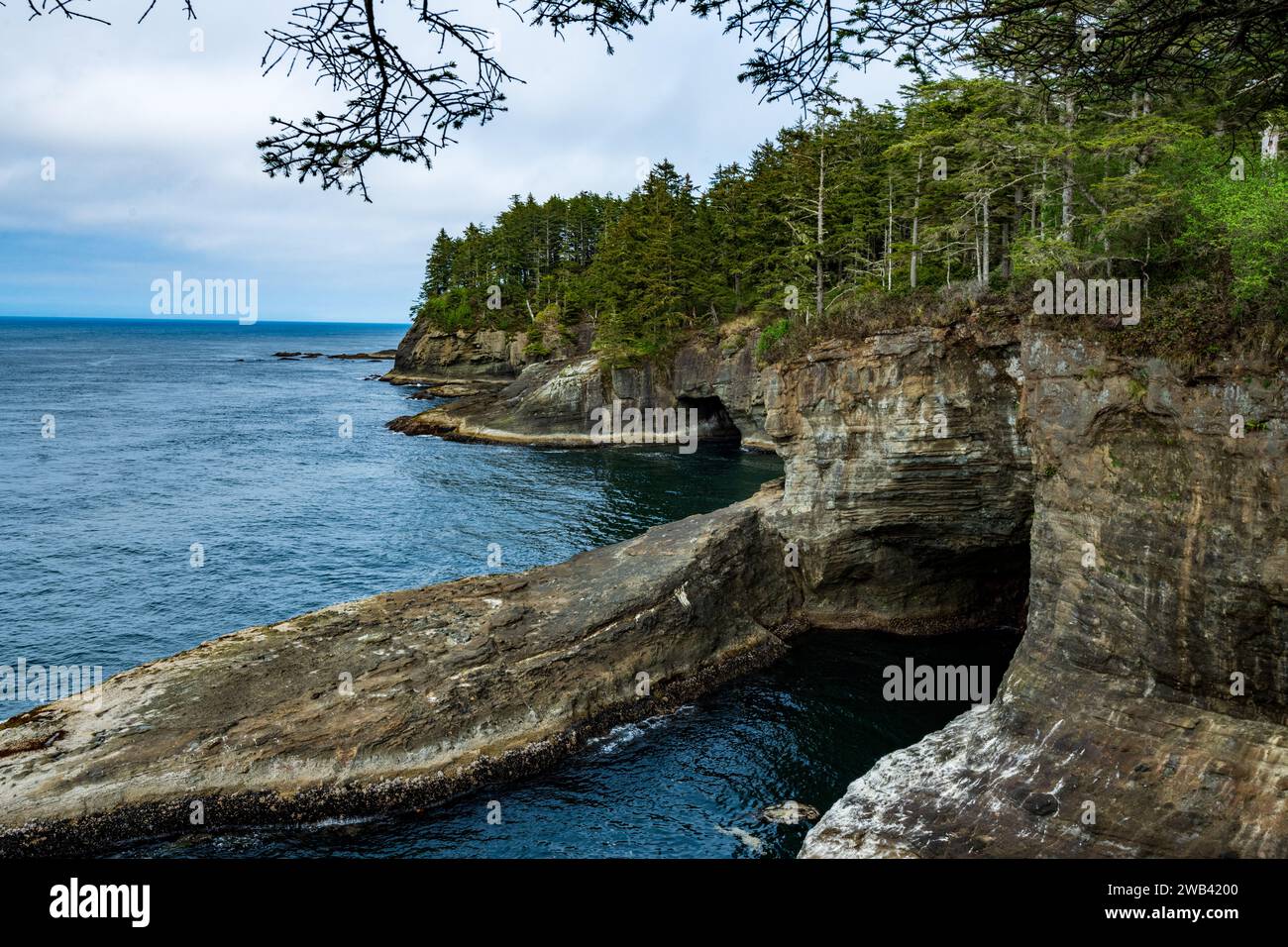 A stunning overlook of cliffs in the pacific northwest, with some ...
