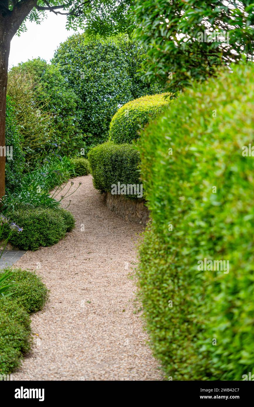 Idyllic garden scenery with green trees, bushes and hedges around a ...