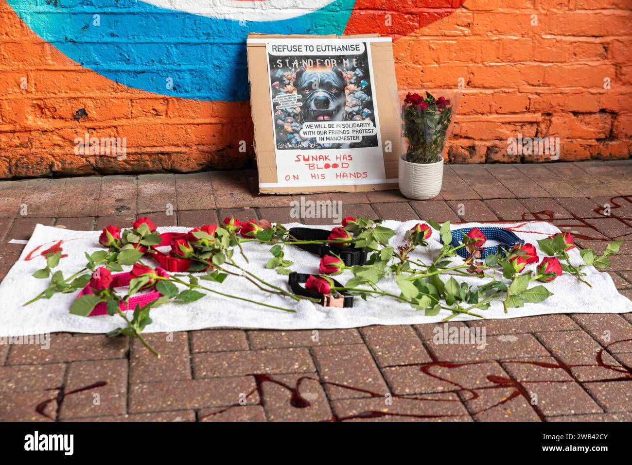 American bully xl protest hi-res stock photography and images - Alamy