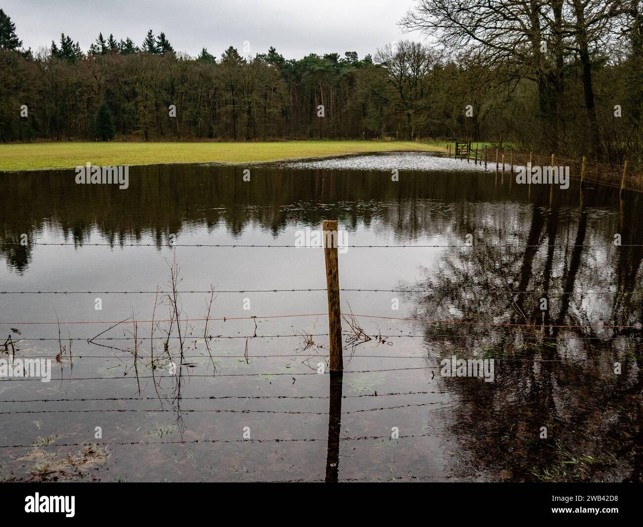 Utrecht, Netherlands. 06th Jan, 2024. Water is seen flooding a field ...