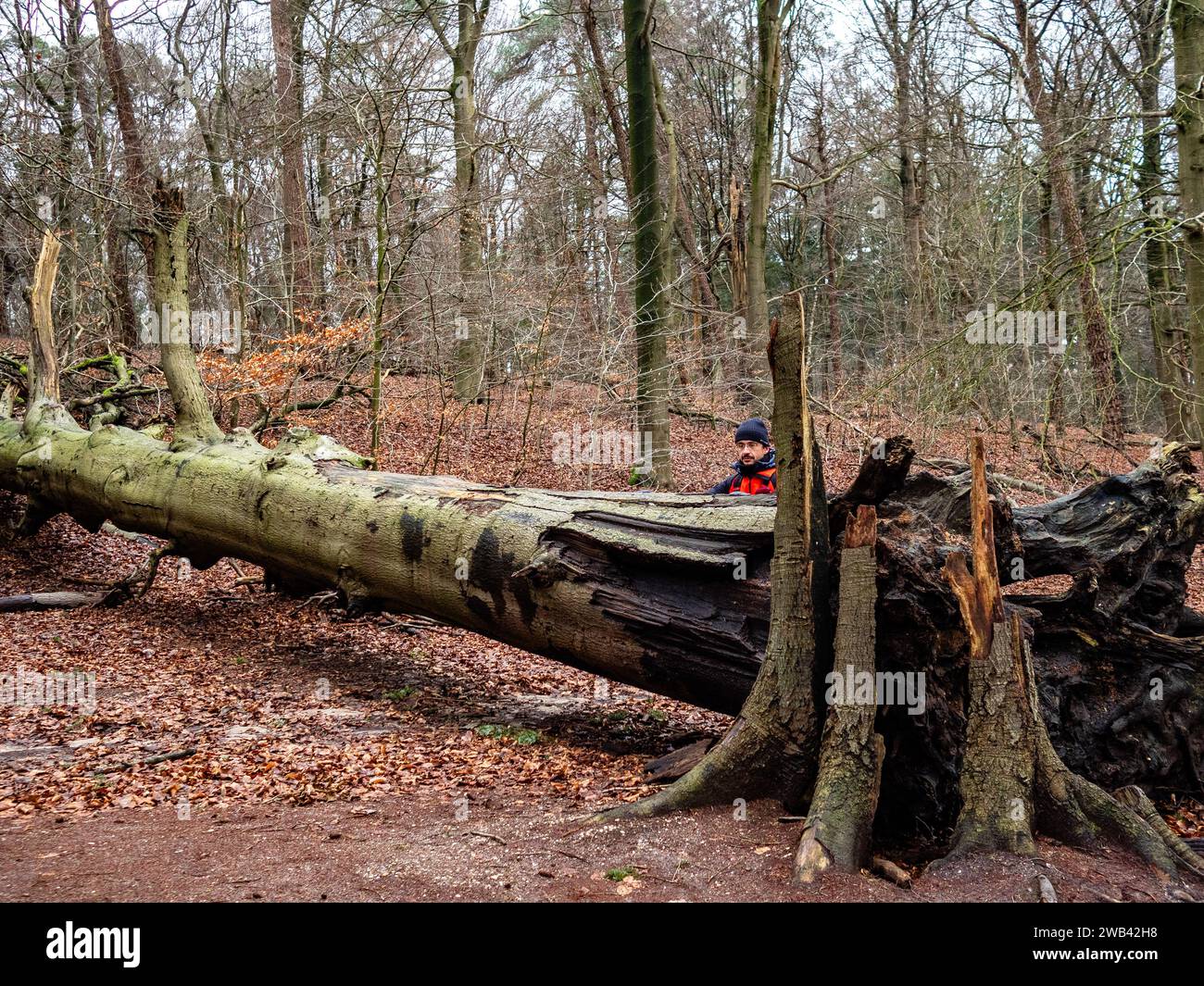 Utrecht, Netherlands. 06th Jan, 2024. A man is seen looking at a huge ...