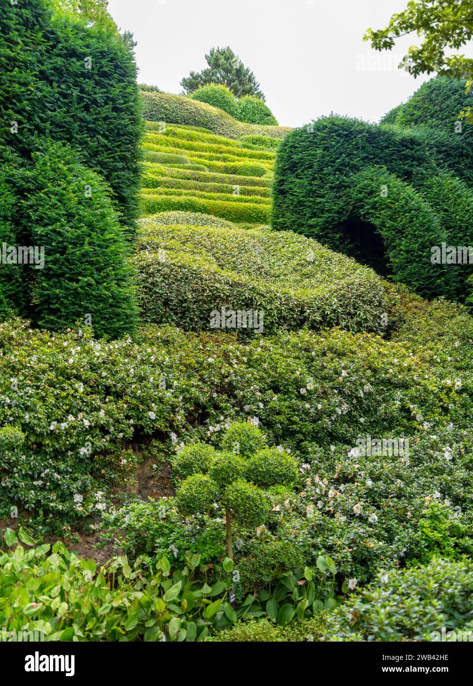 Idyllic garden scenery with green trees, bushes and hedges at summer ...