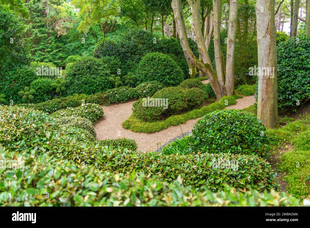 Idyllic garden scenery with green trees, bushes and hedges around a ...