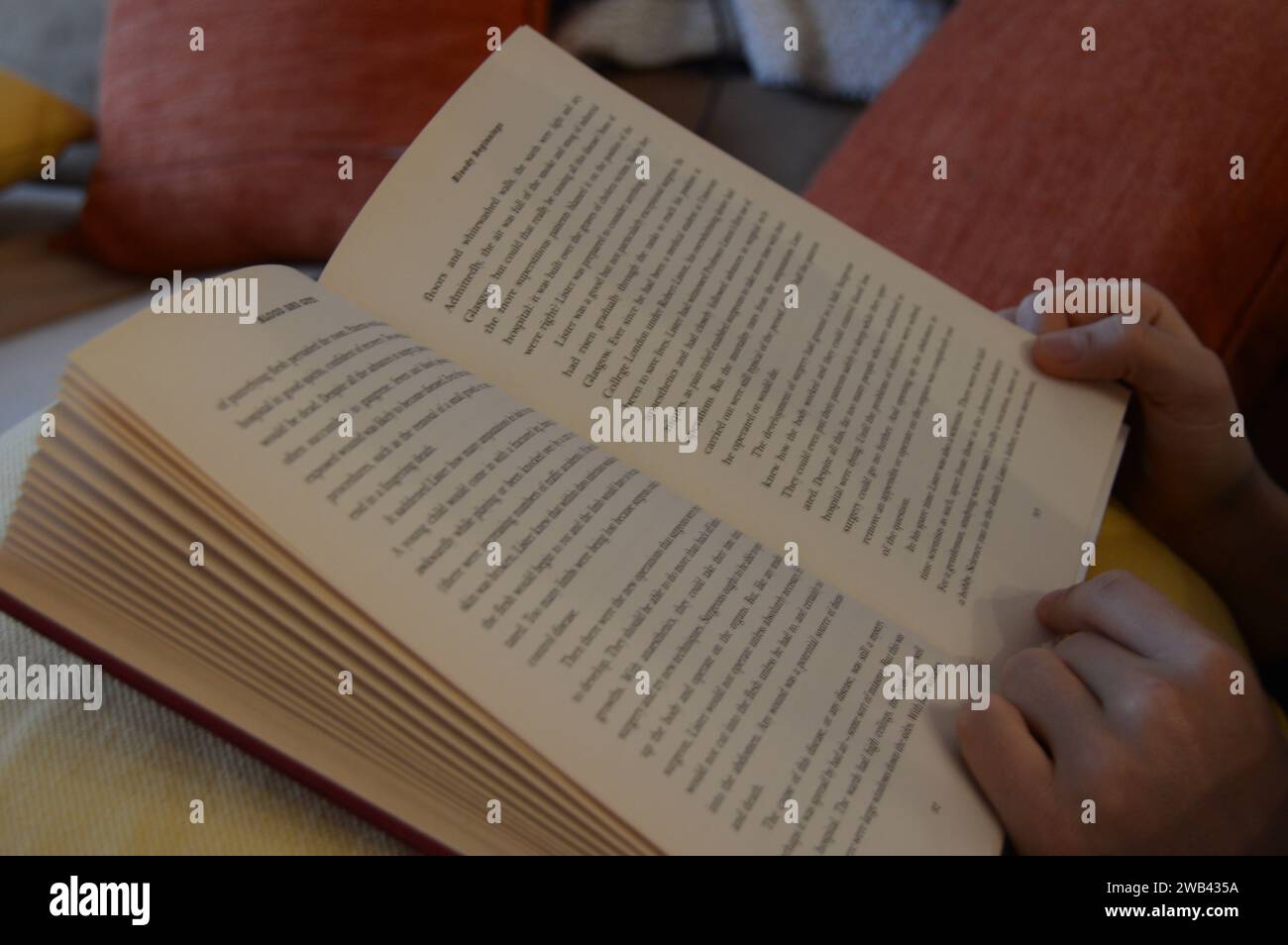 Reading a book Stock Photo - Alamy