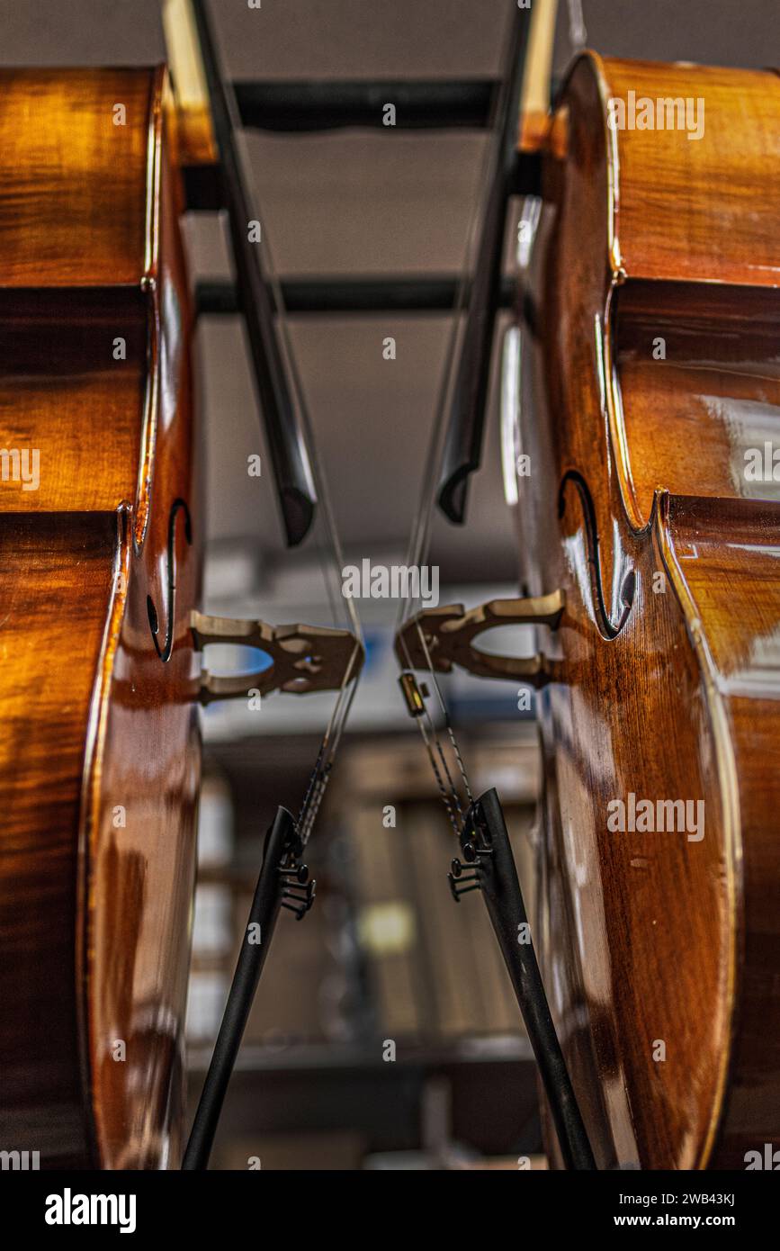 Two upright double basses leaning against one another in a parallel ...