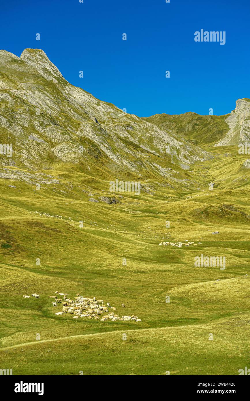 Beautiful landscape french pyrenees mountains hi-res stock photography ...